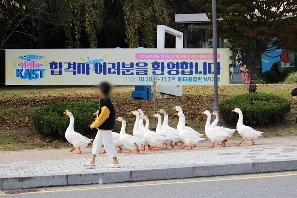 카이스트 카이누리 "OPEN KAIST 2025 오신 걸 환영합니다"